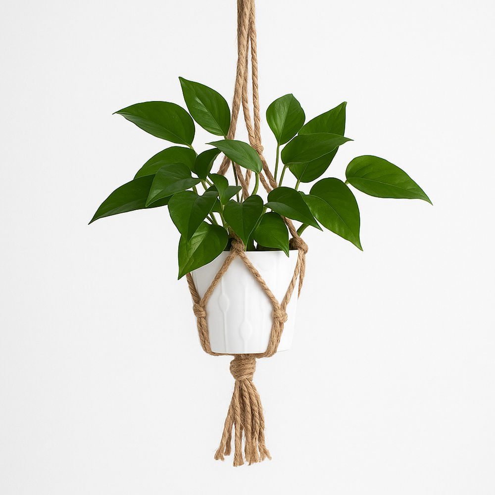 Colgador de Plantas Tipo Macramé 36 Plg - Cemaco