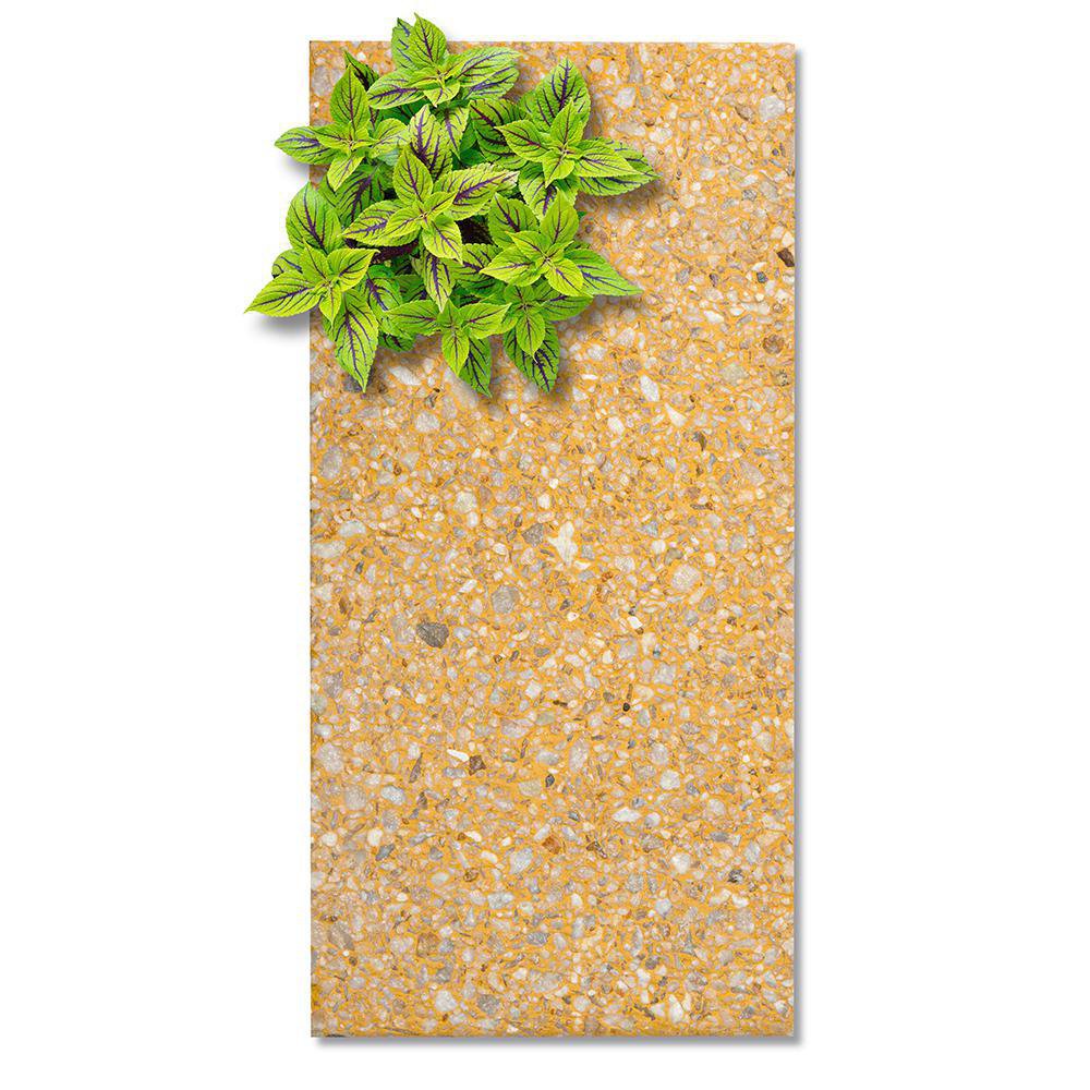 Granito Fondo Amarillo - El Águila - Cemaco