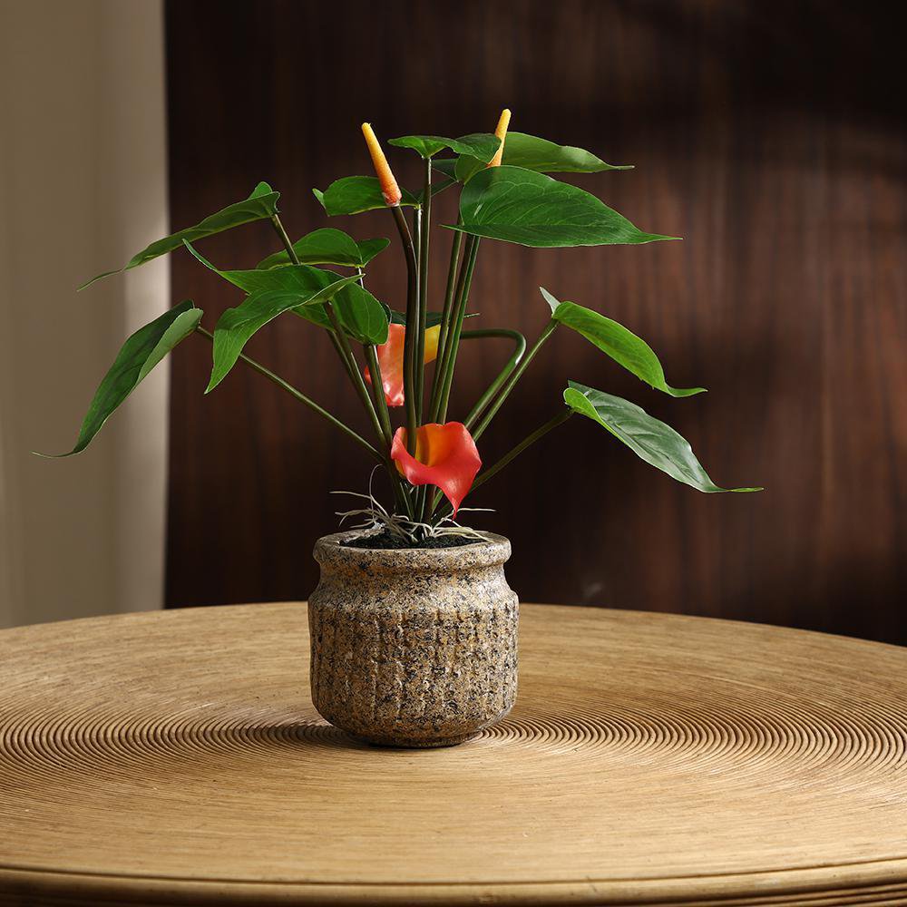 Cala En Maceta Naranja 36 Cm - Concepts - Cemaco